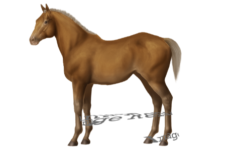 Rust • Horse World Online