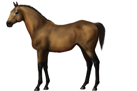 Diablo's Curse • Horse World Online
