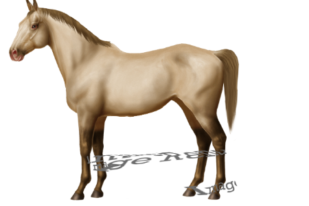 Kisber Felver x Furioso, • Horse World Online