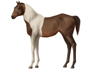 Silver prince • Horse World Online
