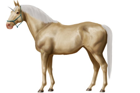 /*Thowra*\ of the silver brumby • Horse World Online