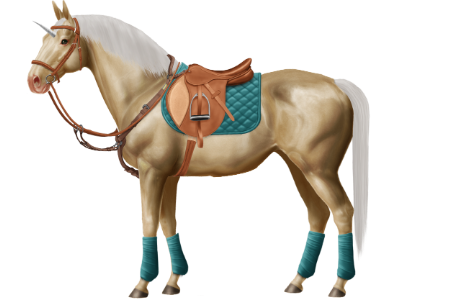 /*Thowra*\ of the silver brumby • Horse World Online