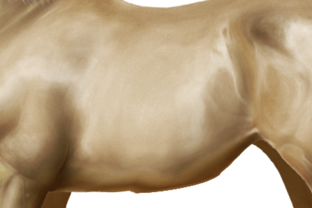 /*Thowra*\ of the silver brumby • Horse World Online