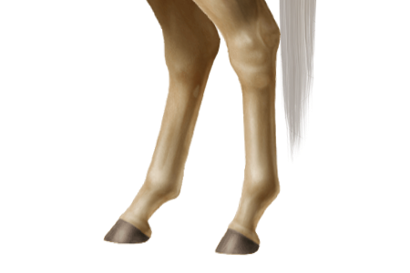 /*Thowra*\ of the silver brumby • Horse World Online